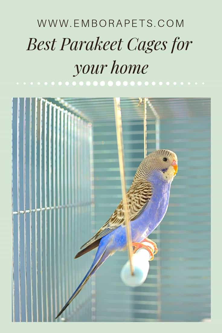 These are the Best Bird Cages for Parakeets in a Home - Embora Pets