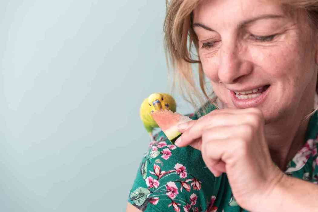 Why Does My Parakeet Have Diarrhea? - Embora Pets