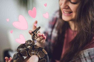 Can Snakes Love Their Owners? 5 Relationship-Building Tips - Embora Pets