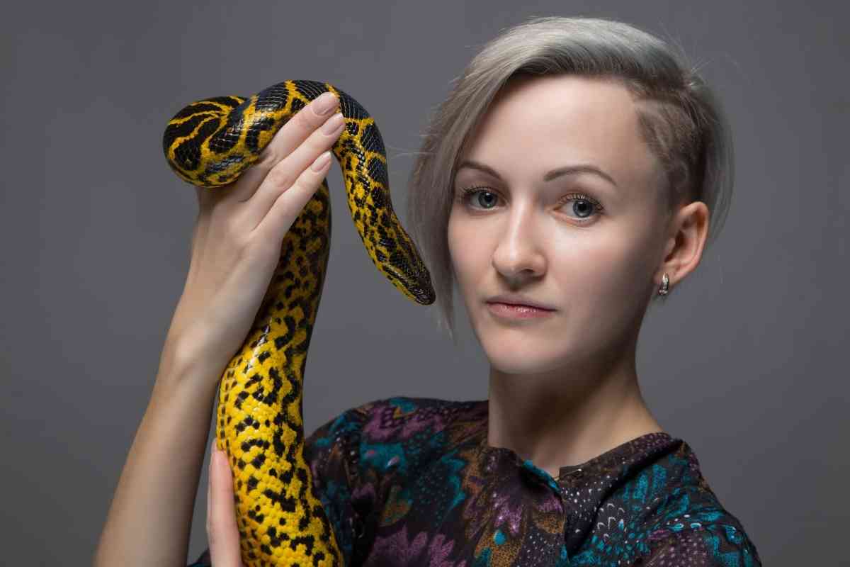 12 Best Large Pet Snake Breeds And How To Keep Them Healthy - Embora Pets