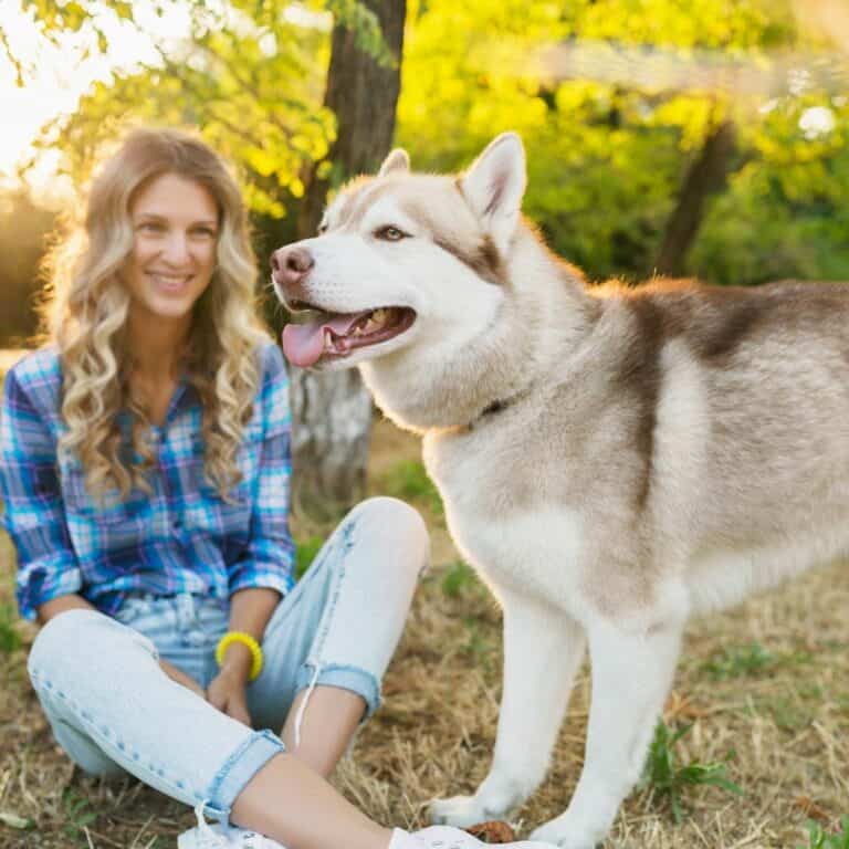 How To Take Care Of A Husky Puppy: A First-Time Owner’s Guide - Embora Pets